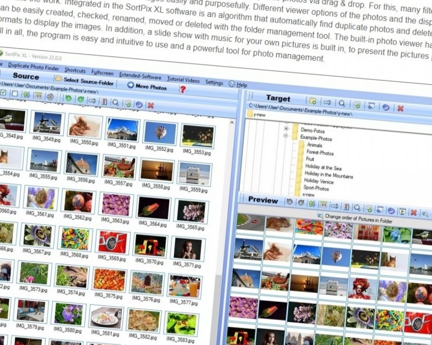 Best Photo Organizing Software To Find And Delet Duplicate Photos